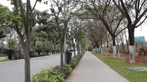 Infosys Hyderabad SEZ Campus review : Infosys Pocharam Address Maps